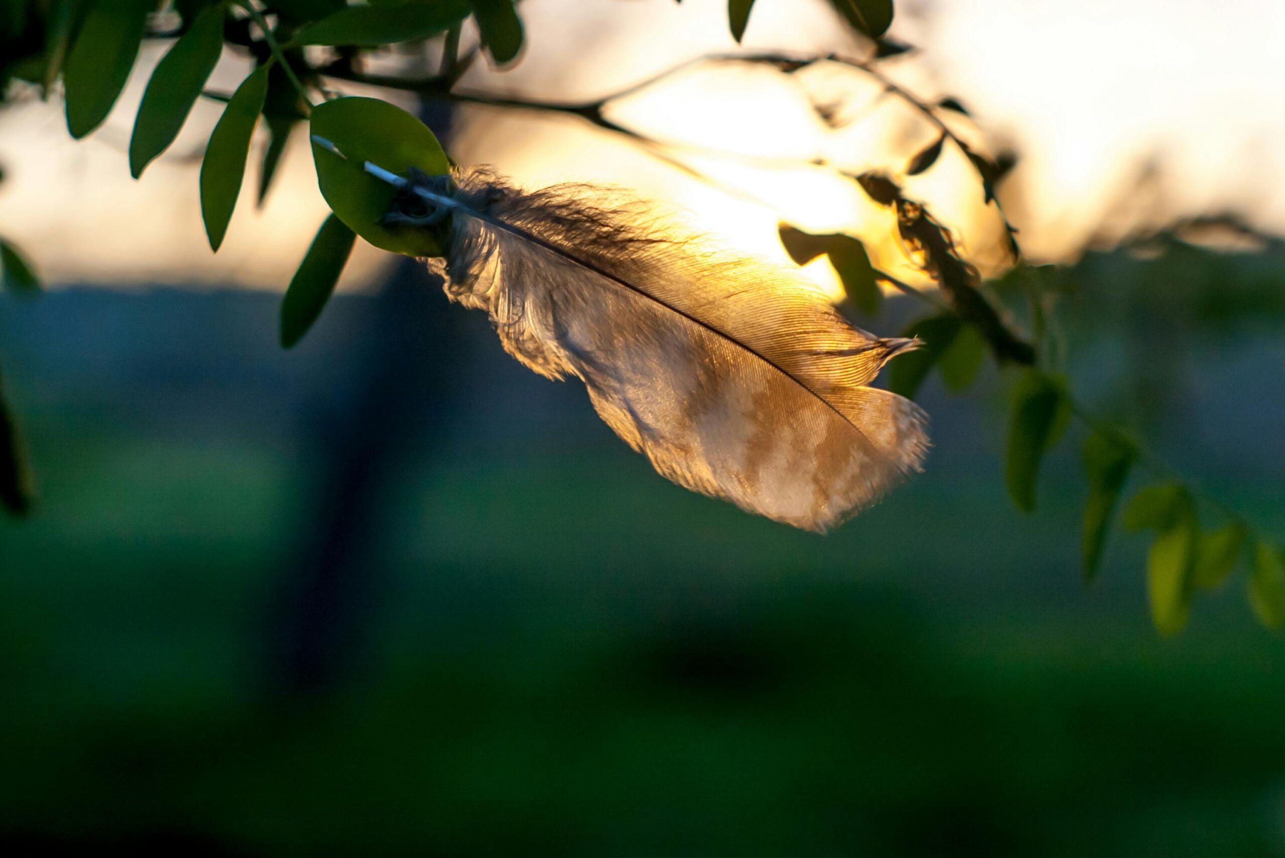 The Maternal Gift of Grief • Sara Laughed